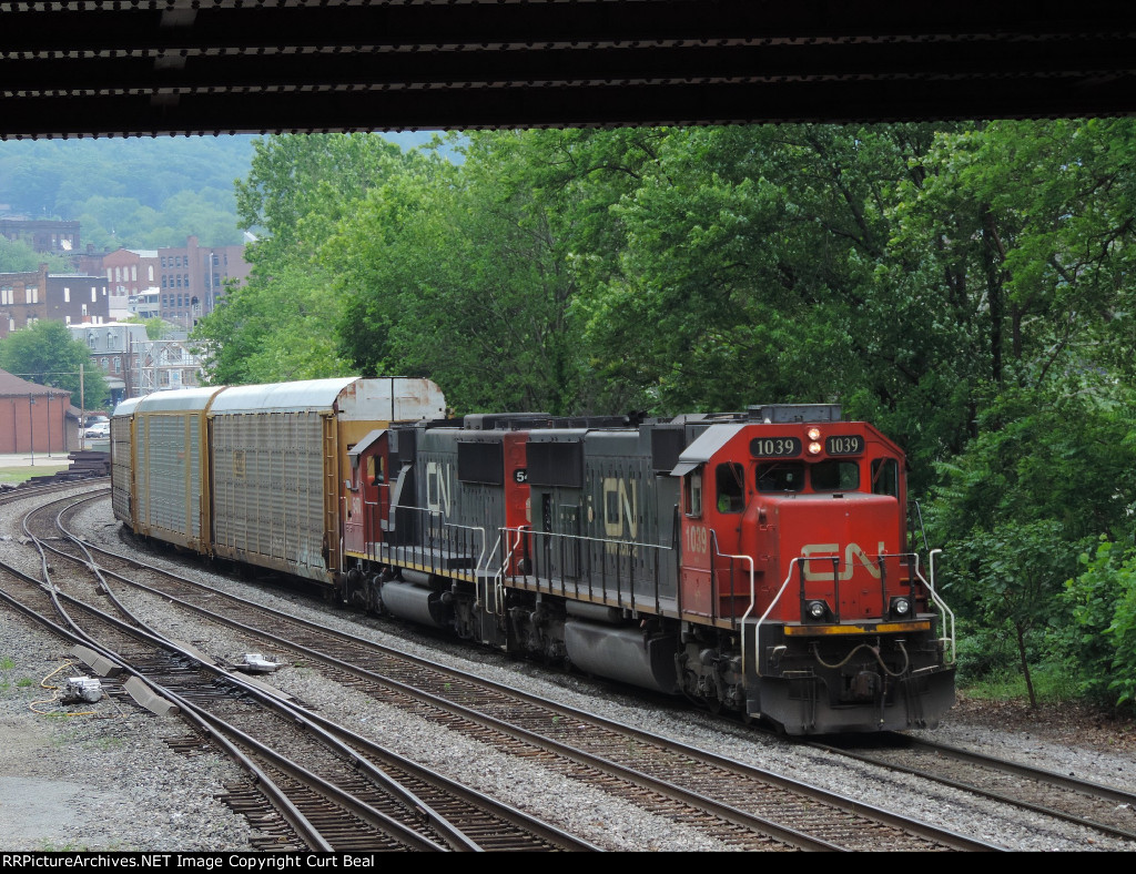 IC 1039 and CN 5478 (1)